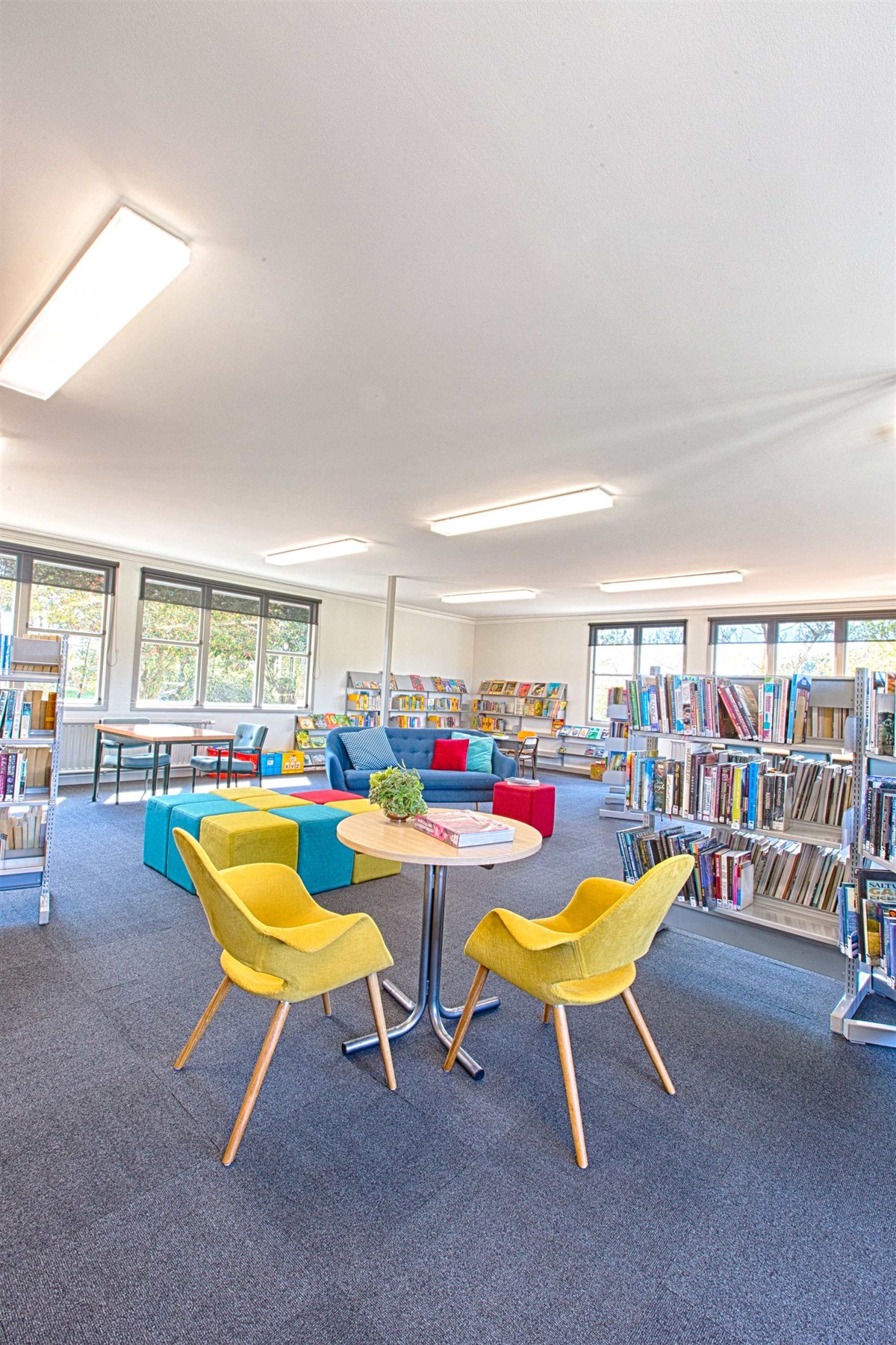 News from Palmerston Library (2023) | Waitaki District Libraries