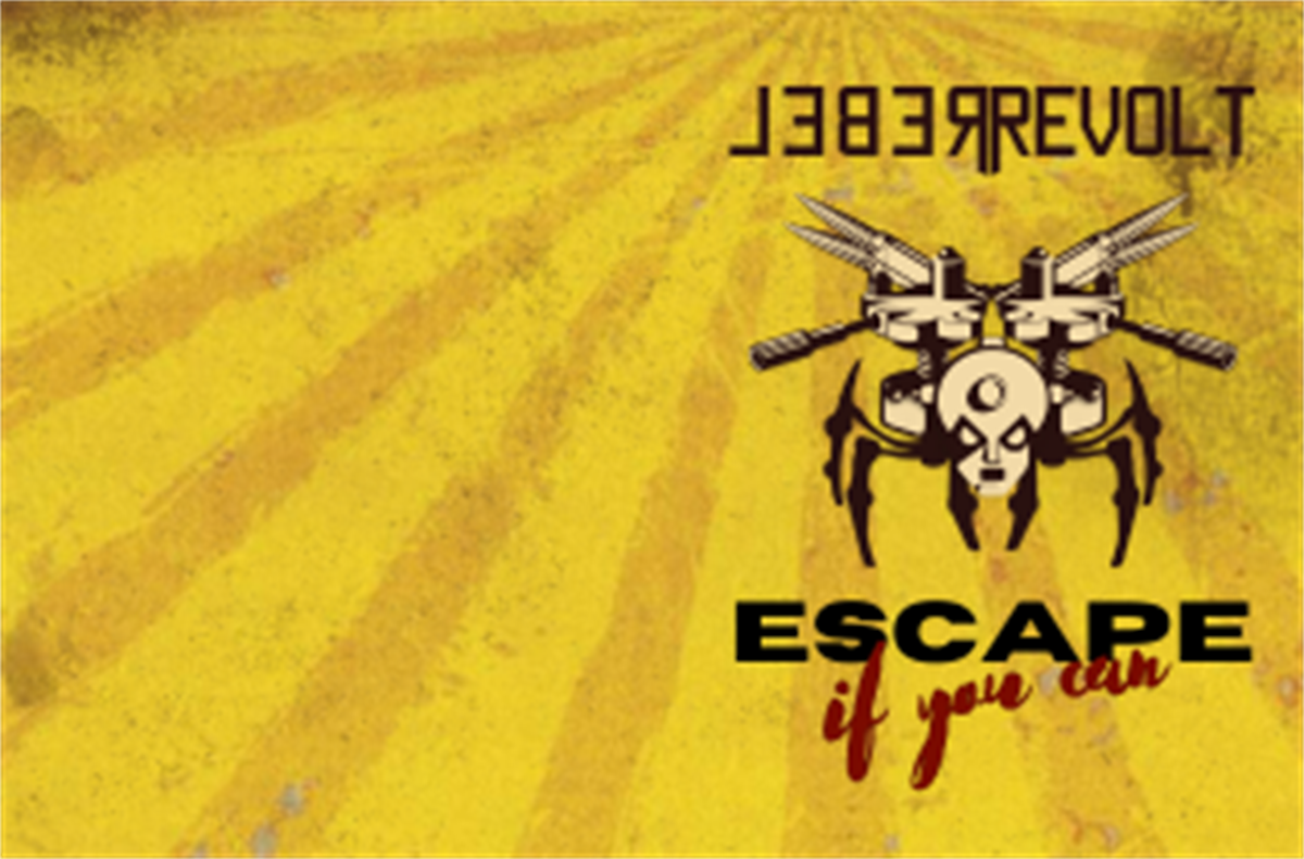 REBEL REVOLT – ESCAPE ROOM CHALLENGE | Waitaki District Libraries