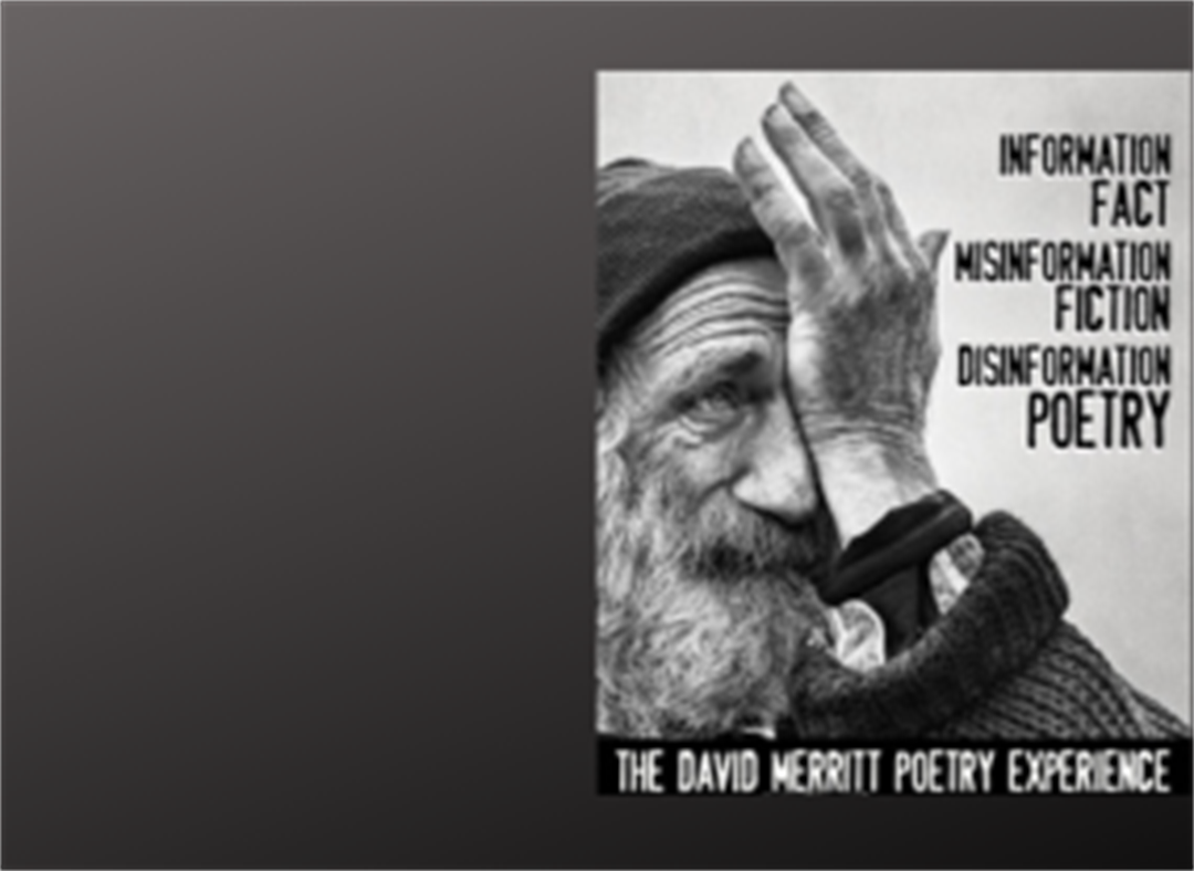 David Merritt Bunkerland blurb | Waitaki District Libraries