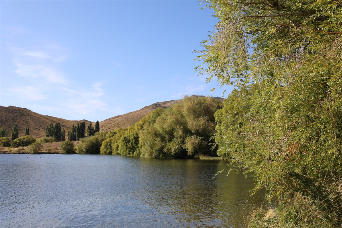 Mayor & Councillors approve Water Services consultation | Waitaki ...